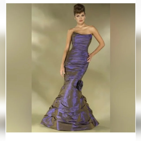 Paula Varsalona | Dresses | Preowned Paula Vassalona Evening Gown ...